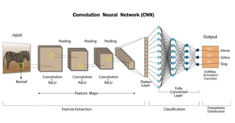 understanding convolutional neural networks a simplified guide ai coach