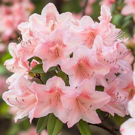 We Use Cookies And Similar Technologies To Provide The Best Experience On Our Website Refer To