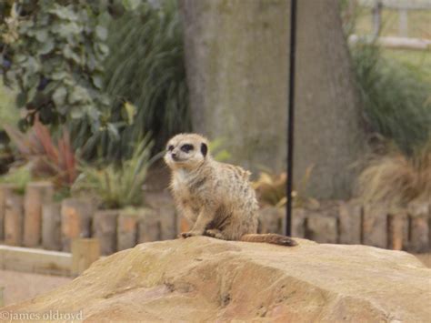 James Oldroyd Photography James Oldroyd Photography