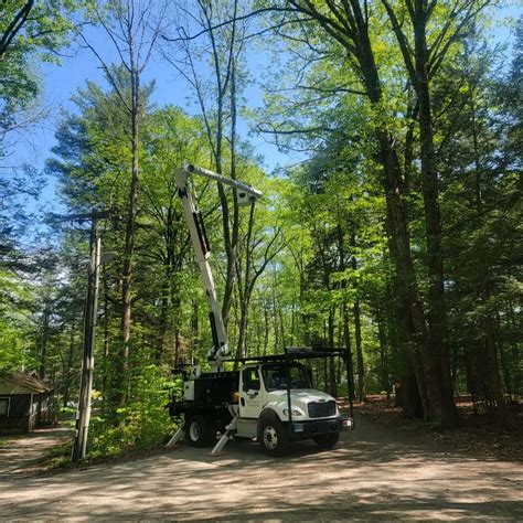 The Vital Importance Of Pruning Boost Tree Health In 2024
