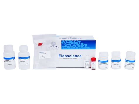Gst Tagged Protein Purification Kit Elabscience Biotechnology