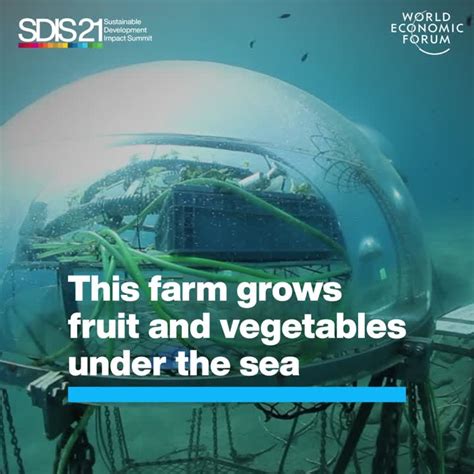 Robert Budnik Posted On Linkedin