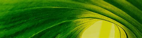 New Regulatory Framework For Virtual Asset Custodians And Trading Platforms In The Cayman