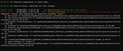 ERROR ExceptionHandler Cannot Read Properties Of Undefined Reading