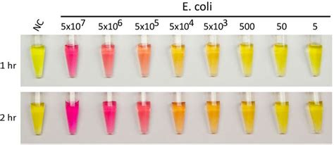 Colorimetric Test For Analytes Determination Wet Chemistry Boc Sciences