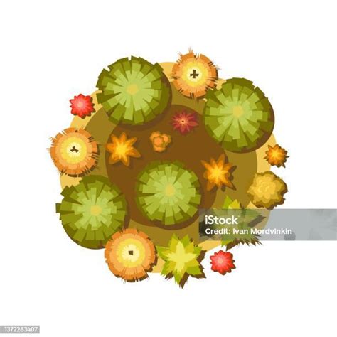 라운드 가을 풍경 최고 보기 노란색과 주황색 나무와 높이에서 덤불이있는 장면 시골 위 흰색 배경에 격리 만화 스타일 일러스트레이션 벡터 0명에 대한 스톡 벡터 아트 및 기타