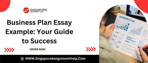 Business Plan Essay Example Your Guide To Success