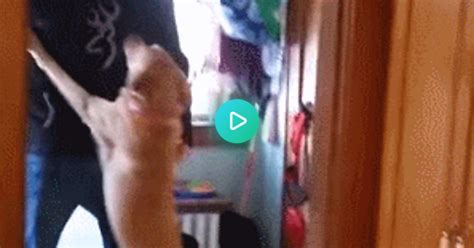 Man Returns Home After Several Minutes  On Imgur