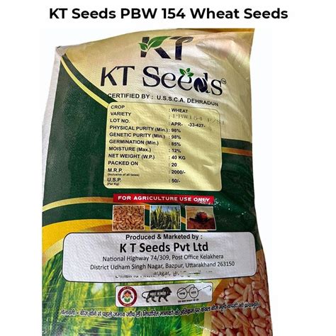 Kt Seeds Pbw 154 Wheat Seeds At ₹ 38kg Wheat Seeds In Bazpur Id