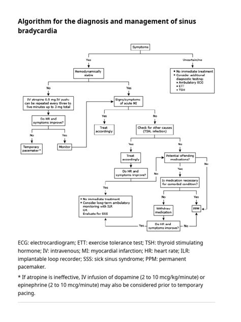 Algorithm For The Diagnosis And Management Of Sinus Bradycardia Pdf