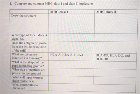 Solved Compare And Contrast MHC Class I And Class II Chegg