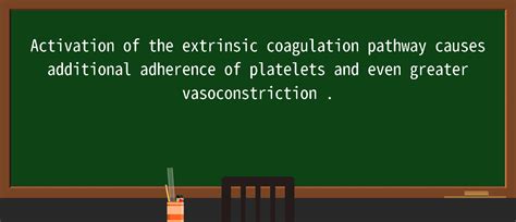 【英语单词】彻底解释“vasoconstriction”！ 含义、用法、例句、如何记忆 おもしろい英文法