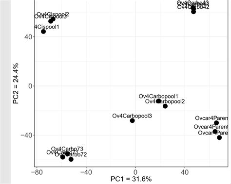 How To Create A Pca Plot Of Proteomics Data In R