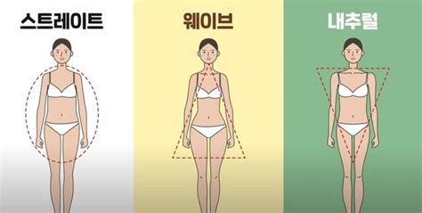 같은 옷인데 핏이 다른 이유 퍼스널 체형 검사해보기 인스티즈instiz 이슈 카테고리