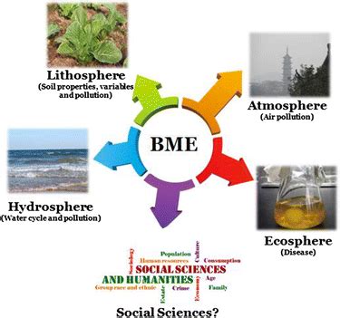 Application Of BME In Science Of The Total Environment Download Scientific Diagram