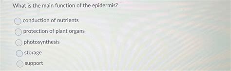 Solved What Is The Main Function Of The Epidermisconduction