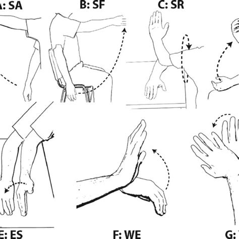 Representation Of The Seven Upper Limb Analytic Movements Performed By Download Scientific