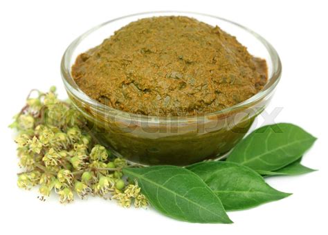 Ayurvedic Henna Leaves Stock Image Colourbox