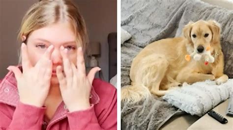 Delani Diekmeier 14 Hat Krebs Fußball Profi Pascal Testroet Sendet