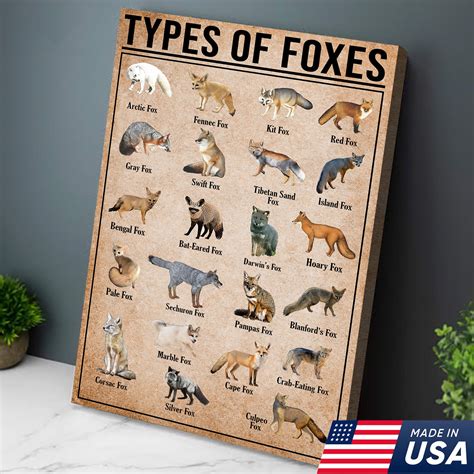 Types Of Foxes Species Wall Art Canvas Wildlife Educational Canvas