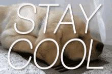 Stay Cool S Tenor