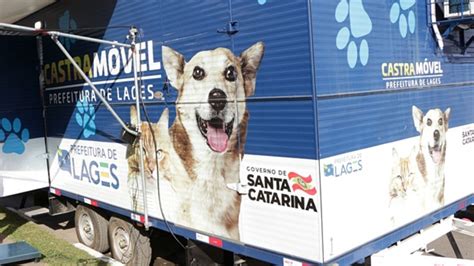 Free Castration Drive For Dogs And Cats Will Be On The 27th