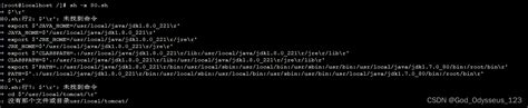 在linux上运行sh文件提示坏的解释器 没有那个文件或目录解决 解释器错误没有那个文件或目录 csdn博客