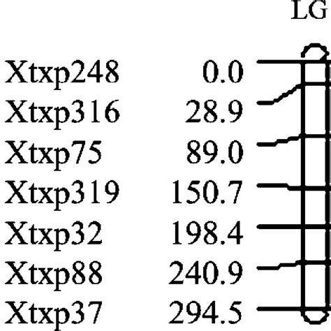 Qtl Cartographer Plot Showing Qtl Peaks As Obtained Using Multi Trait