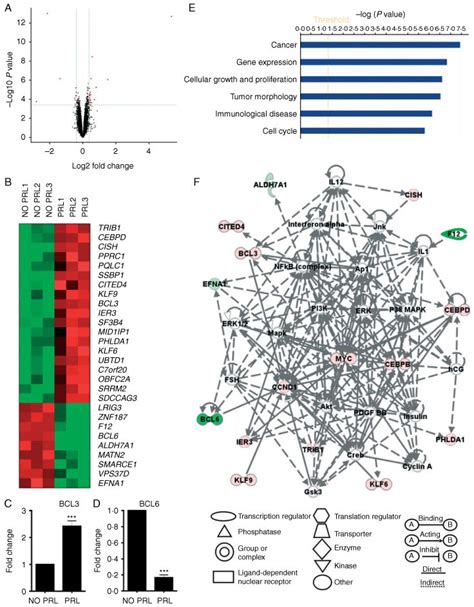 Microarray Analysis Demonstrates The Effects Of Prl On Global Gene Download Scientific Diagram