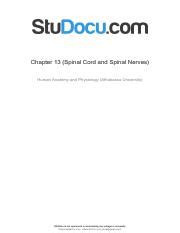 Chapter Spinal Cord And Spinal Nerves Pdf LOMoARcPSD Chapter Spinal Cord And