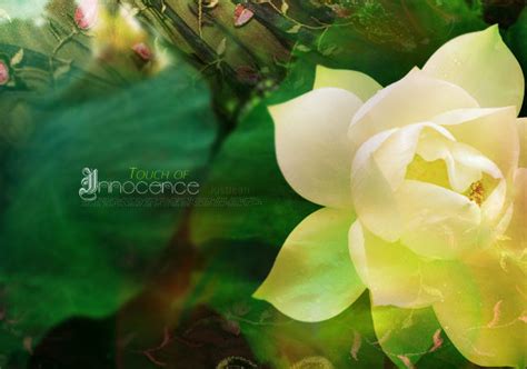 Touch Of Innocence By Leahsdeviant On Deviantart