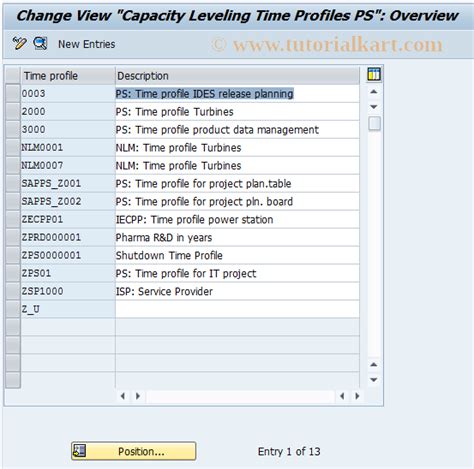 OPTY SAP Tcode Capacity Leveling Time Profile PS