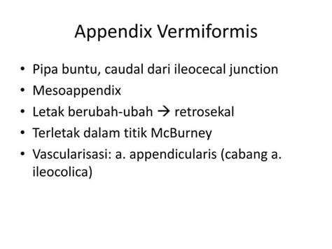 Appendix Vermiformis Ppt