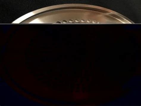 One Micron Ss316 Filter Stage For Andersen Cascade Impactor At Best