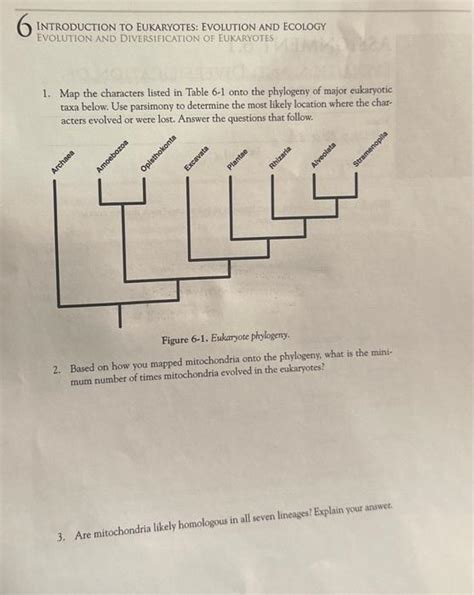 Solved INTRODUCTION TO EUKARYOTES EVOLUTION AND ECOLOGY Chegg