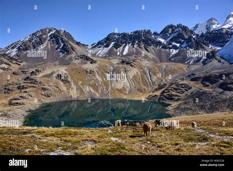 Beautiful Scenery At Chiar Khota Lake On The Cordillera Real Traverse