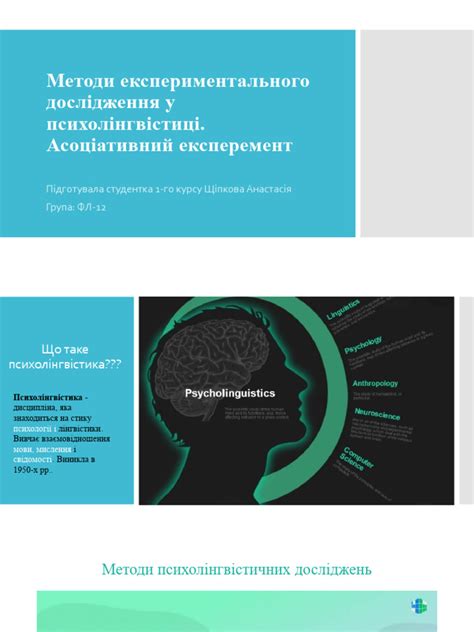 Associative Experiment Pdf