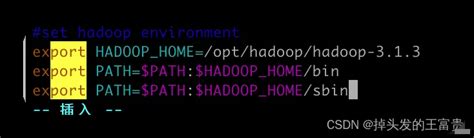 linux安装hadoop（图文解说详细版） 阿里云开发者社区