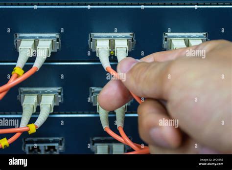 Technician Connect Fiber Cable Network To Switch Port In Server Room Concept Internet Network