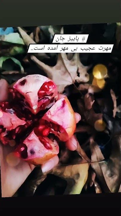 ایران پاییزدختر Youtube