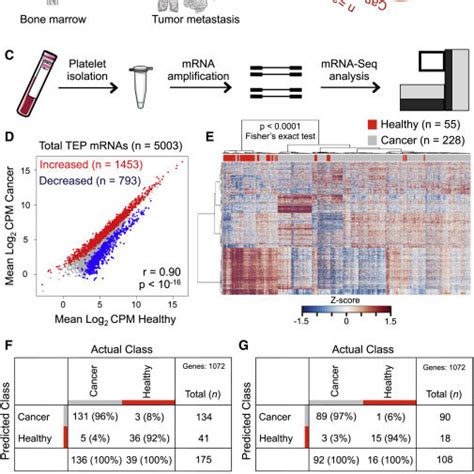 PDF RNA Seq Of Tumor Educated Platelets Enables Blood Based Pan Cancer Multiclass And