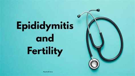 Understanding Epididymitis And Its Impact On Male Fertility The