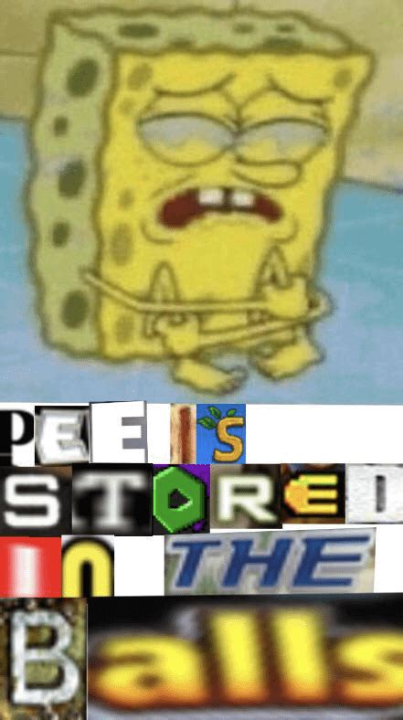 Pee Is Stored In The Balls In The Balls R Expanddong