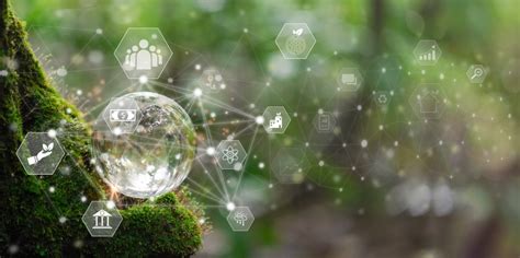 The New Age Of Forest Monitoring A Common European Forest Monitoring
