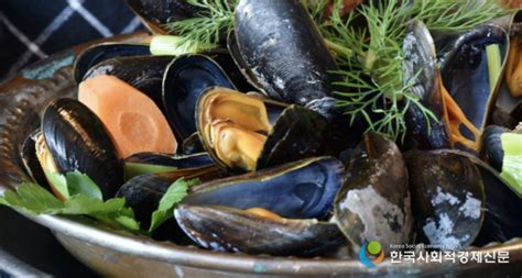 홍합 굴 바지락 등 ‘패류독소 조심해야