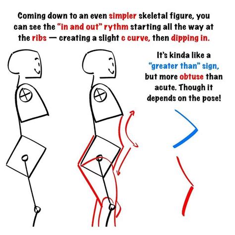 Hip Dips 3 Anatomy Tutorial Body Reference Drawing Anatomy Reference