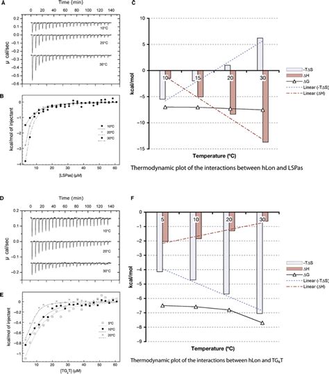 Isothermal Titration Calorimetric Analysis For The Binding Of Hlon To Download Scientific