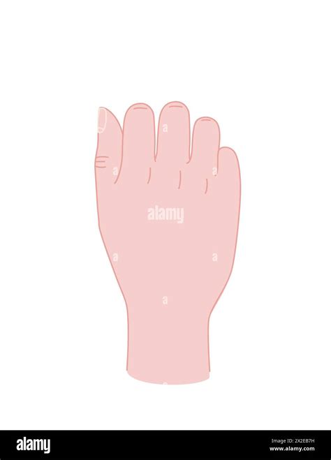 Human Hand Palm Gesture Vector Illustration Isolated On White