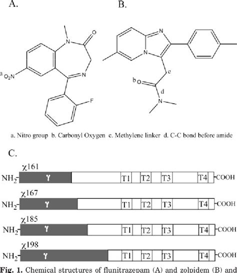 Figure 1 From Structural Determinants For High Affinity Zolpidem Binding To Gaba A Receptors