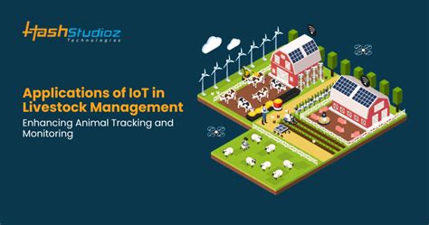 Iot In Livestock Management Key Applications Explained